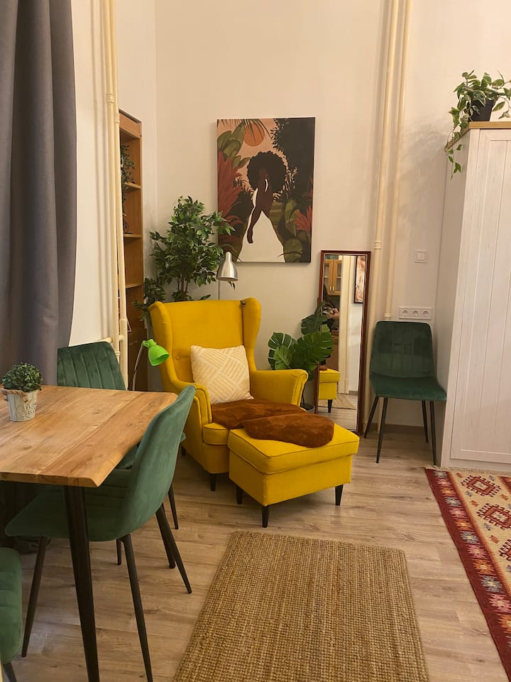 Christina Flat By Buda Castle - Budapest