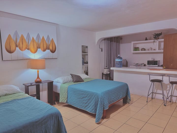 Superb Loft In The Center Of Gdl - Guadalajara