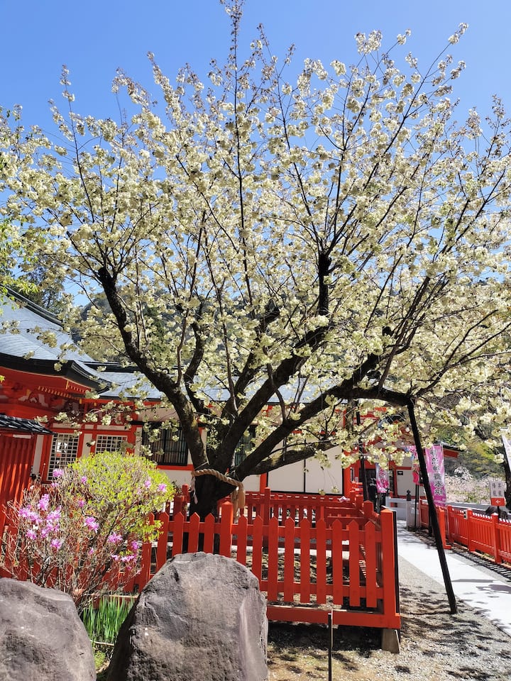 (西)甲府駅から歩いて12分、武田通りにある便利な癒しの家、歴史がある地域です - Kofu