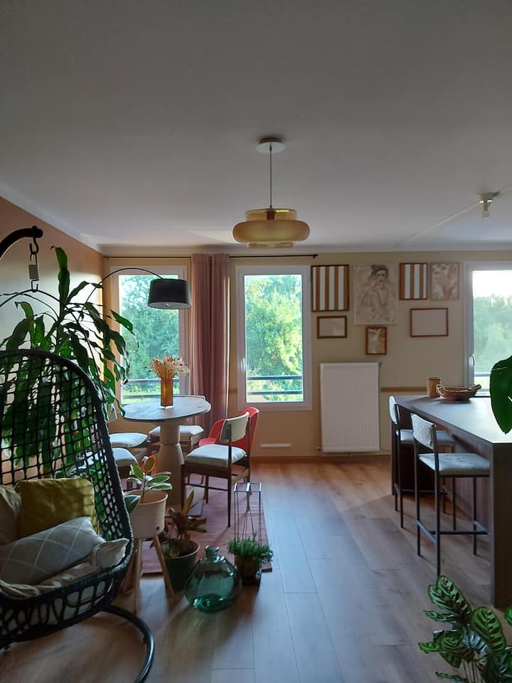 Appartement Rénové, Calme Et Spacieux - Lille