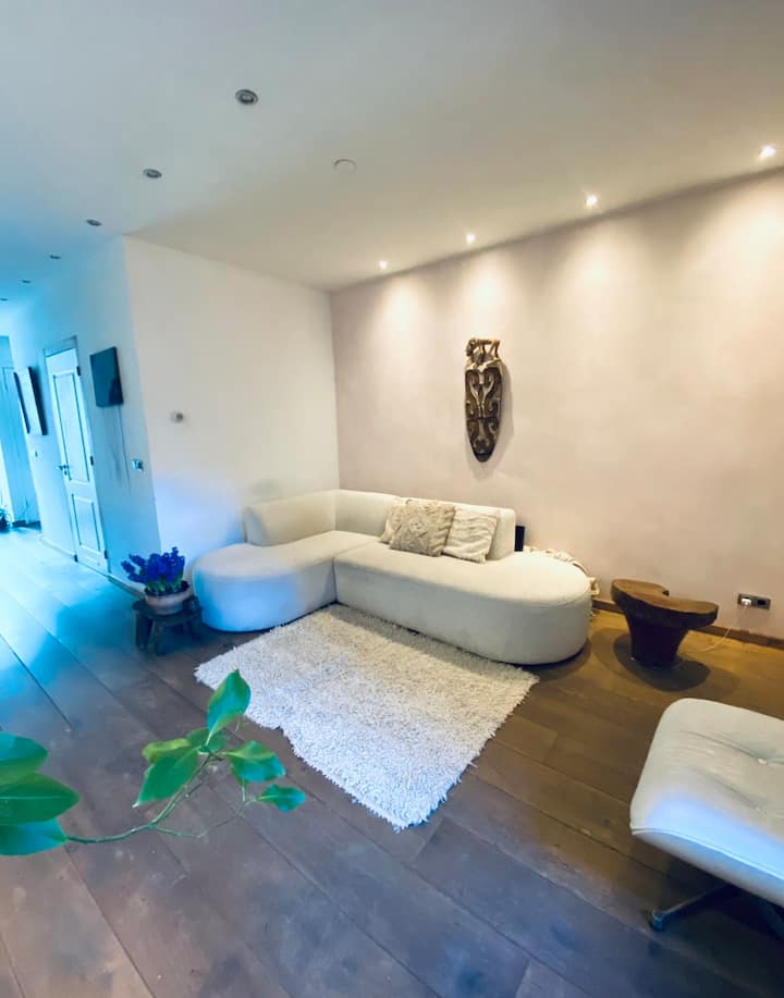 Great App With Roof Pijp/zuid Center 5 Min - Amsterdam