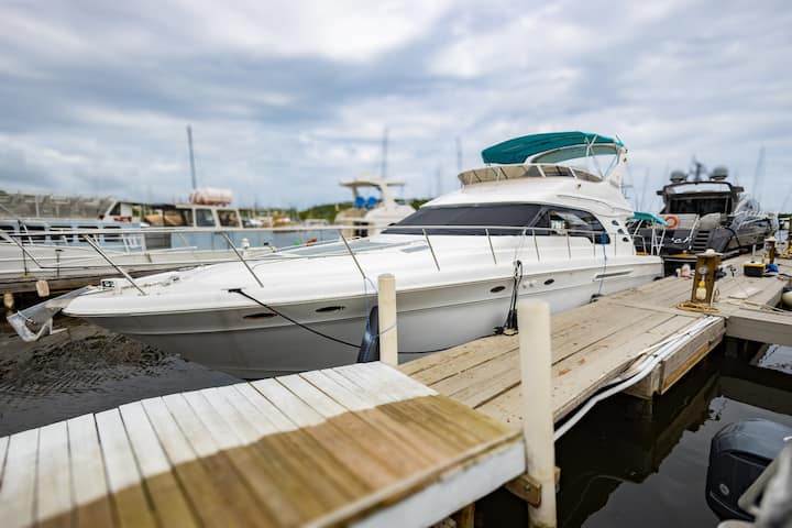 New Listing : Sea-duction Sea Ray 56ft, Sleeps 6 - 세인트토머스 섬