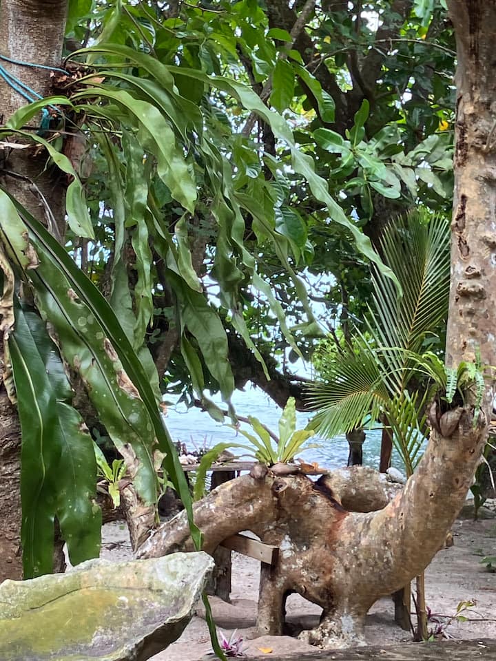 Beach House Inctransfers, Tours & Wifi. - Vanuatu