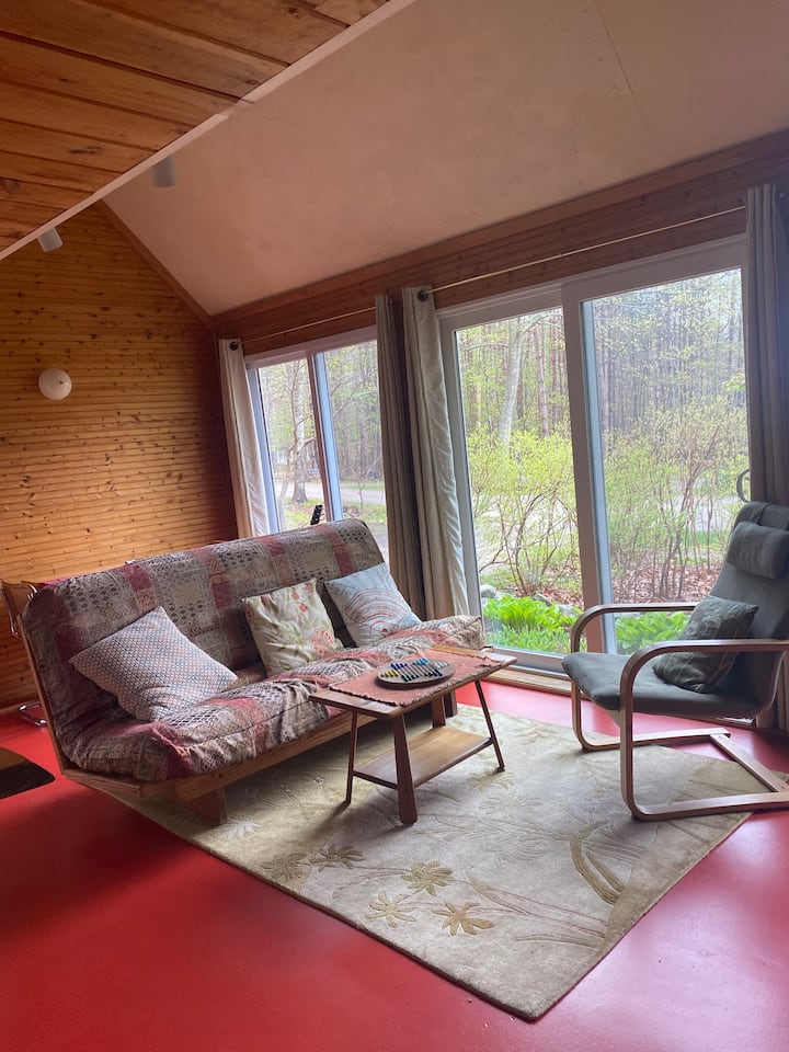 Seacoast Eco-cabin In The Woods - York