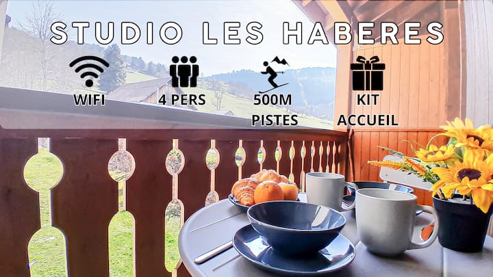 Y'hôtes- Studio Proche Pistes Ski & Vtt - Praz de Lys Sommand