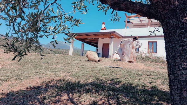 Casa Vacanze Terra Lenù - Agropoli