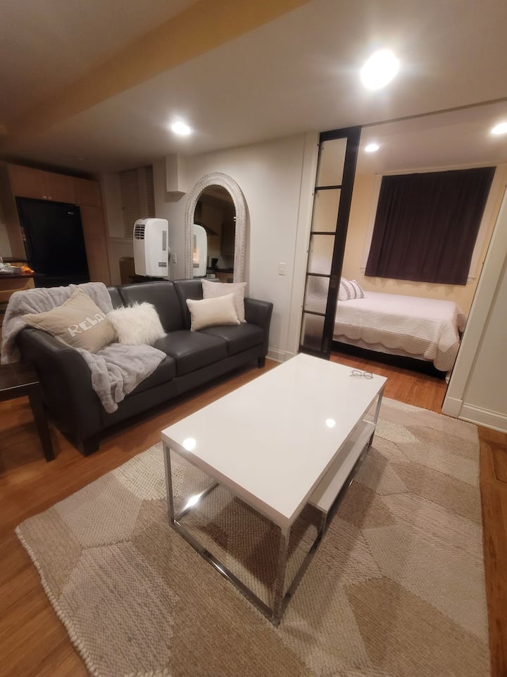 Cozy Condo. - Minneapolis, MN