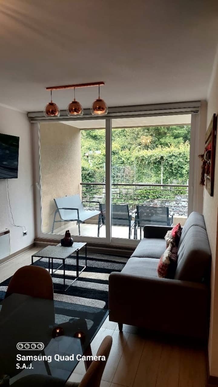 Super Host
Oferta Verano 2d Y 2b Estac.-wifi - Pucon