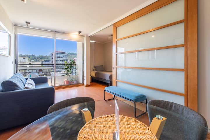 Hermoso Y Moderno Departamento - Providencia