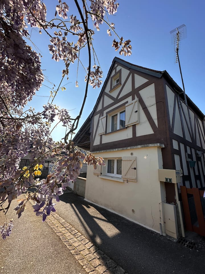 Bienvenue Au Cosy Ornais ! - Orne