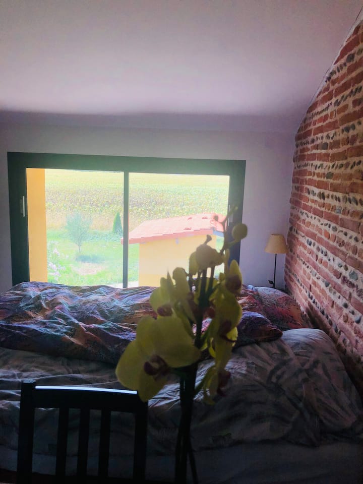 Studio Proche Aéroport/airbus - Saint-Jory