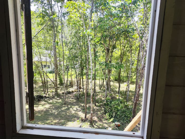 Cabane Gn-o-gn-i-to - Guyane française