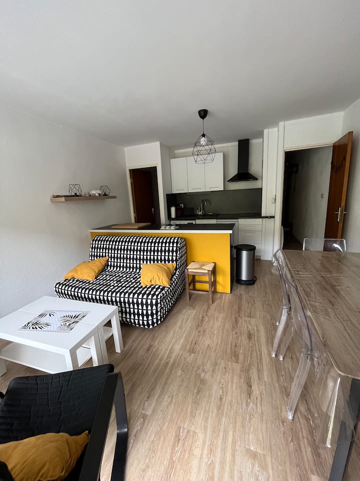 Appart  T2 Aux Pieds Des Pistes - Saint-Lary-Soulan