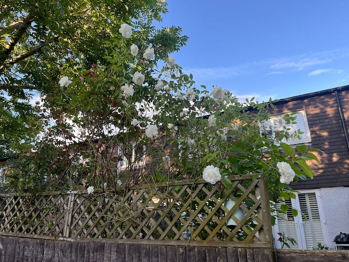 White Rose - Whetstone London - Botany Bay - London