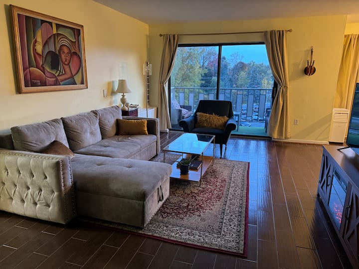 Very Nice Apartment 2br & 2 Bath - Silver Spring, MD