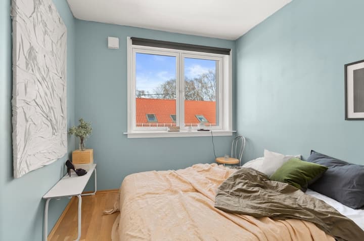 Toppleilighet I Oslo Sentrum - Oslo