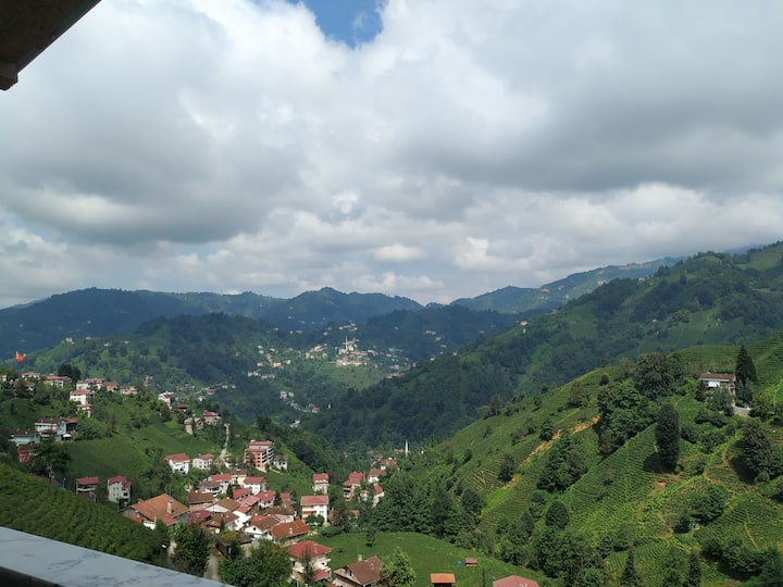 Kuş Ve Dere Sesleri Ile Mükemmel Bir Güne Başlayın - Rize