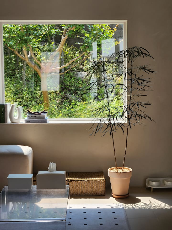 Dogs Allowed Pool & Yard - Busan