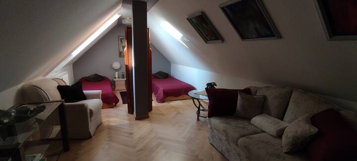 Appartement Flat Maisonette Exhibit 2/4 Poeple - Landshut