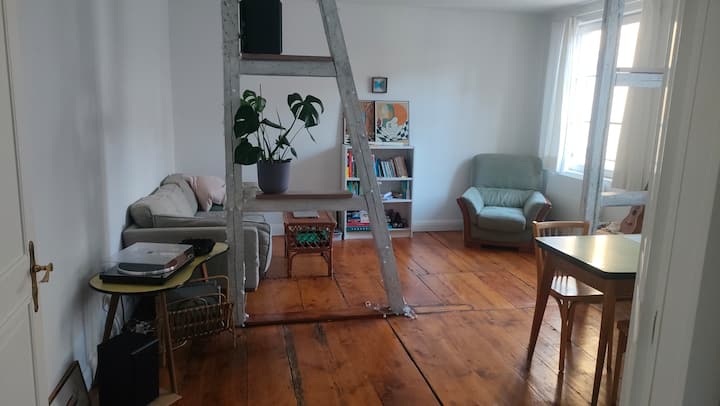 Duplex Chaleureux à 2 Pas De La Cathédrale - Gare de Strasbourg Ville