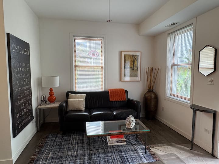 Great Space In West Lakeview - Chicago