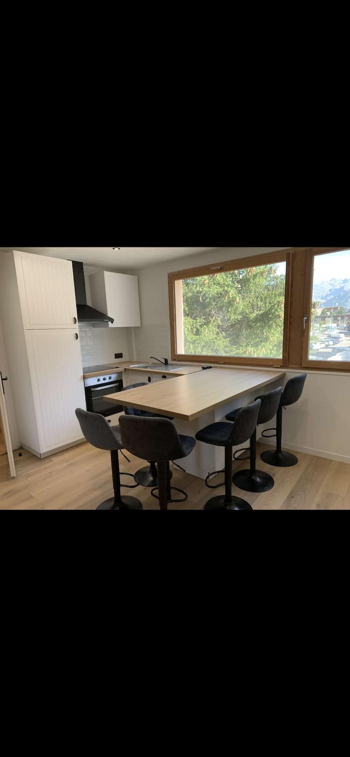 Appartement Pied Des Piste - Les Deux Alpes