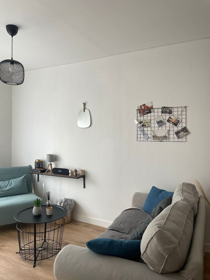 Bel Appartement Avec Terrasse - Tours