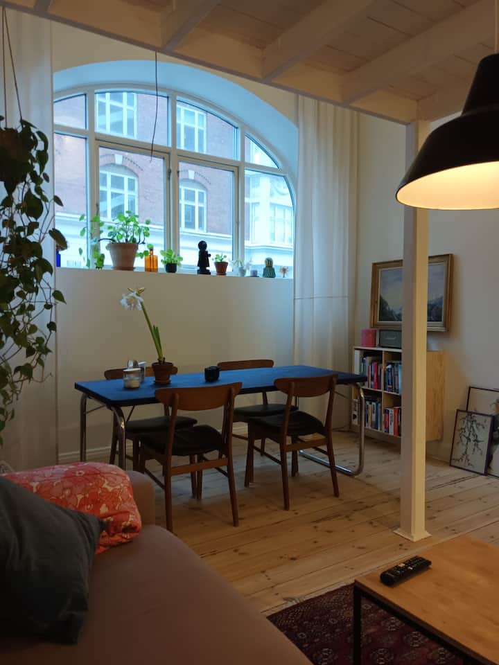 Hyggelig Frederiksberg Lejlighed - Aarhus