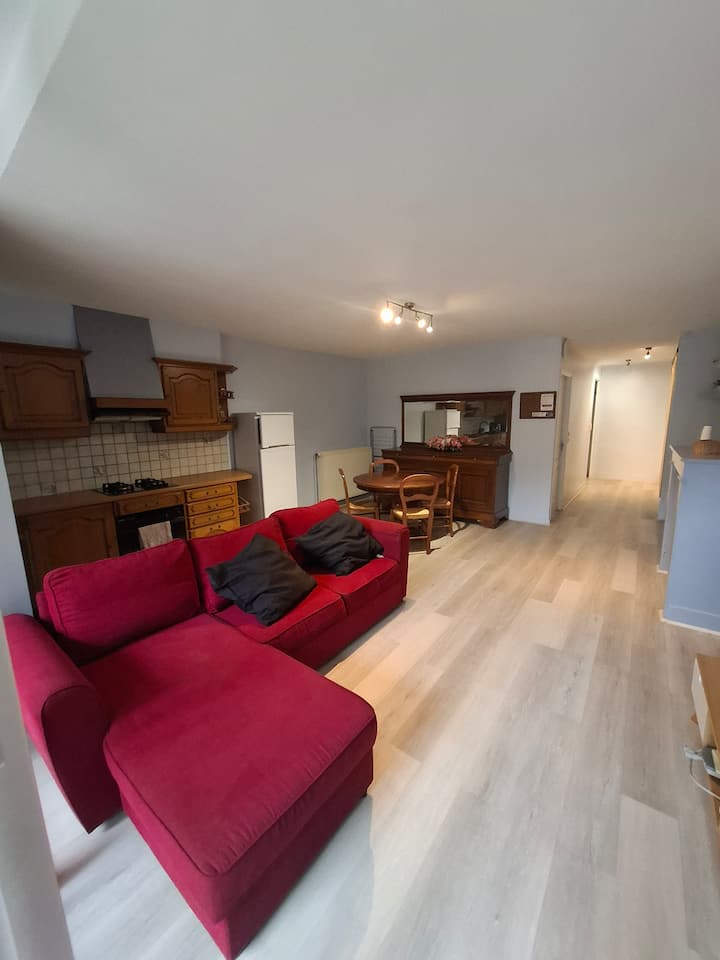 Bel Appartement Centre-ville - Nantua