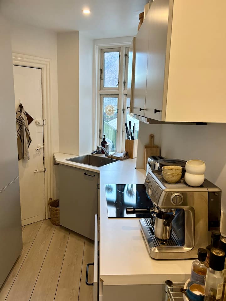 Charming Flat In Frederiksberg - Kopenhagen
