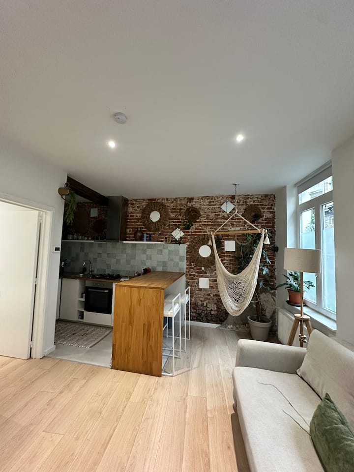 Appartement Centre De Bruxelles - Bruselas