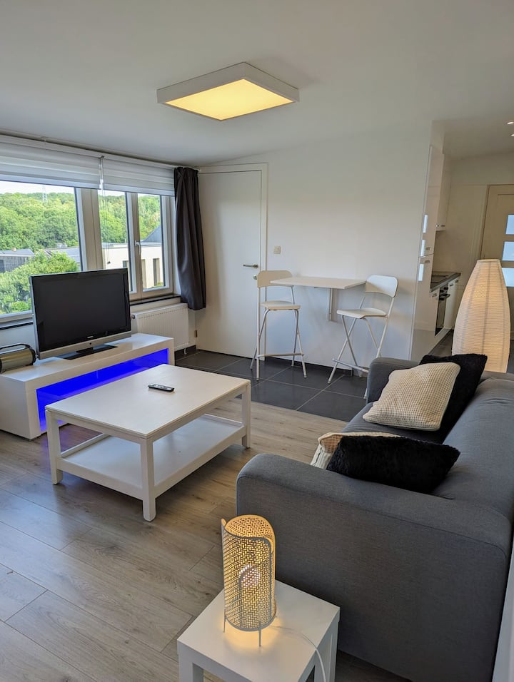 Studio à 2 Min De Namur Avec Vue - Namur