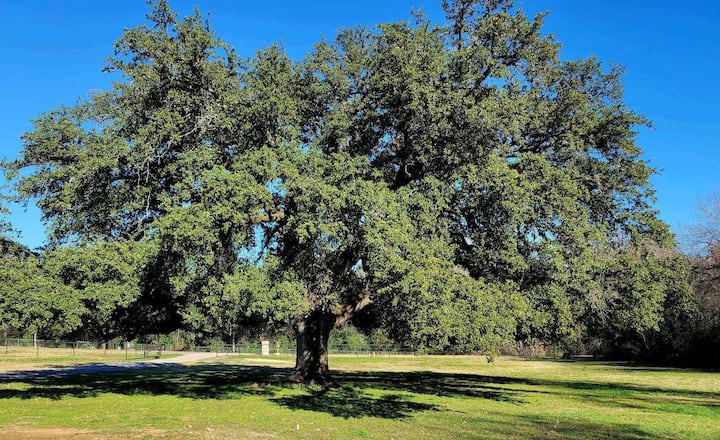 Mammoth Oaks…close To Many Fun Summer Activities! - 웨이코