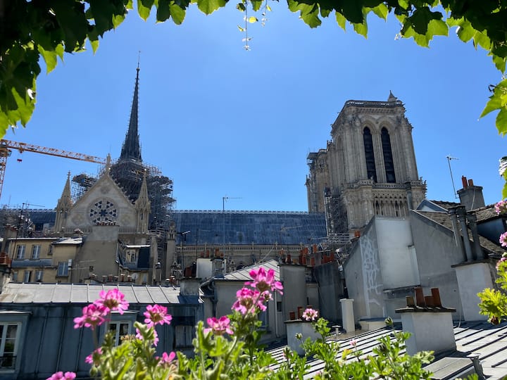 *Notre Dame De Paris Panorama Exceptionnel 5p - Paris