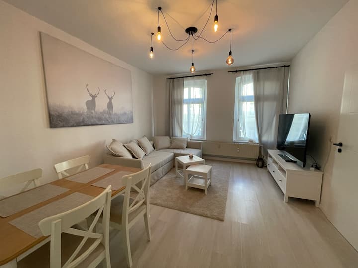 Gemütliche Wohnung In Gera - Gera