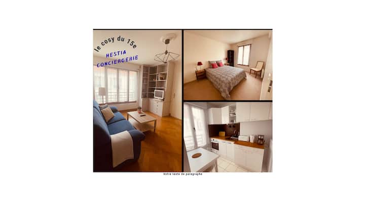 Le Cosy Du 15e ! - Boulogne-Billancourt