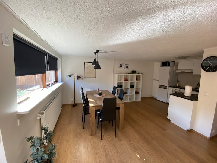 2 Bedroom Apartment, Big Patio - Reikiavik