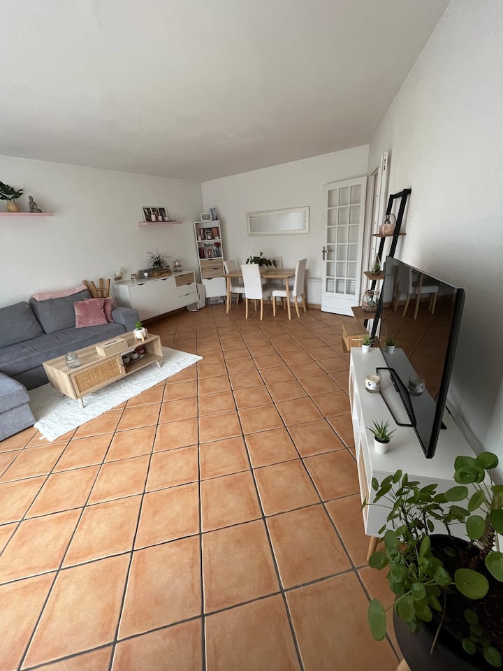 Spacieux Appartement Proche Parc Expo Villepinte - Lognes