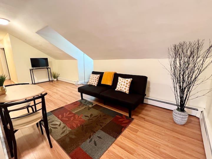 Cambridge Best 3bed Apt W/parking - Cambridge, MA