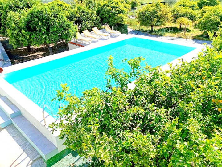 Finca El Aulagar 1 - Coín