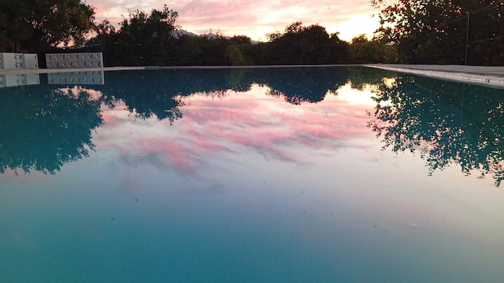 Finca El Aulagar Premium - コイン