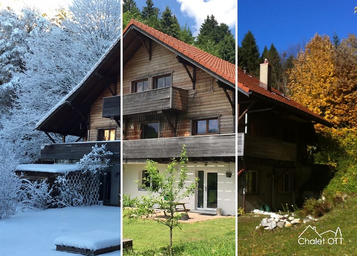 Modern Apartment In The Mountains With Sauna - Nyon