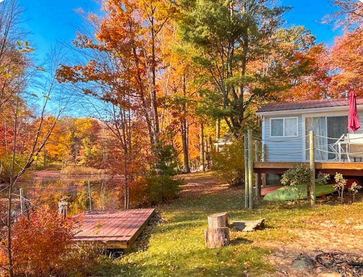 Fall Lakefront Escape In Woods. Fish, Kayak, Golf. - Jackson Lake, Roscommon Township