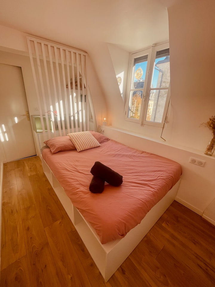 Cosy, Centre Historique, Vue Piscine St-georges - Rennes