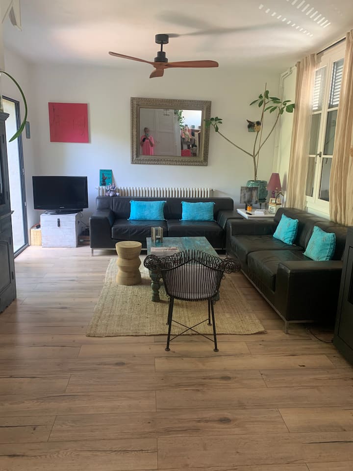 Charmante Maison De Ville Avec Terrasse Arborée - Tours