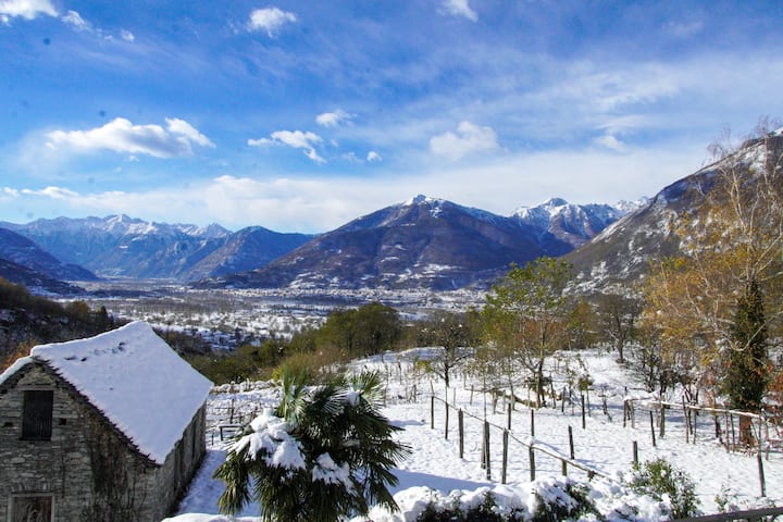 Ca’ Vignamaggiore - Crodo