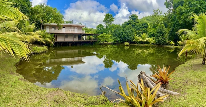 Metamorphosis Resort - 11 Br Retreat On The River - Cidra