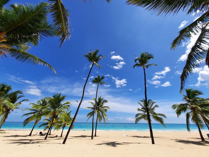 Private Jacuzzi + 2br. With Beach Shuttle. - Punta Cana