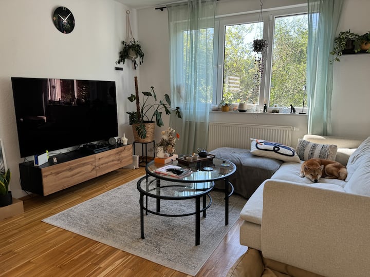 Modern 2 Room Apartment - Cologne