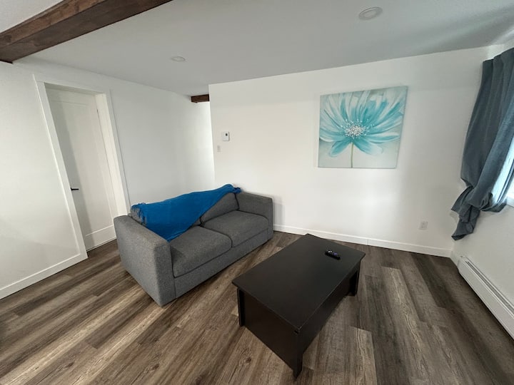 Appartement 3 1/2 Lumineux Et Bien Situé (2) - Québec, QC